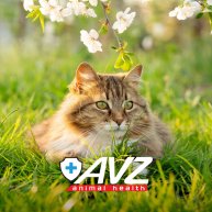 Иконка канала AVZ. Дайджест о здоровье животных