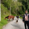 Иконка канала Цветочек