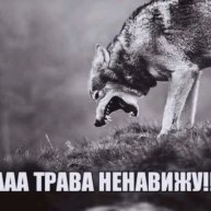 Иконка канала ТРАВА НЕНАВИЖУ lock In