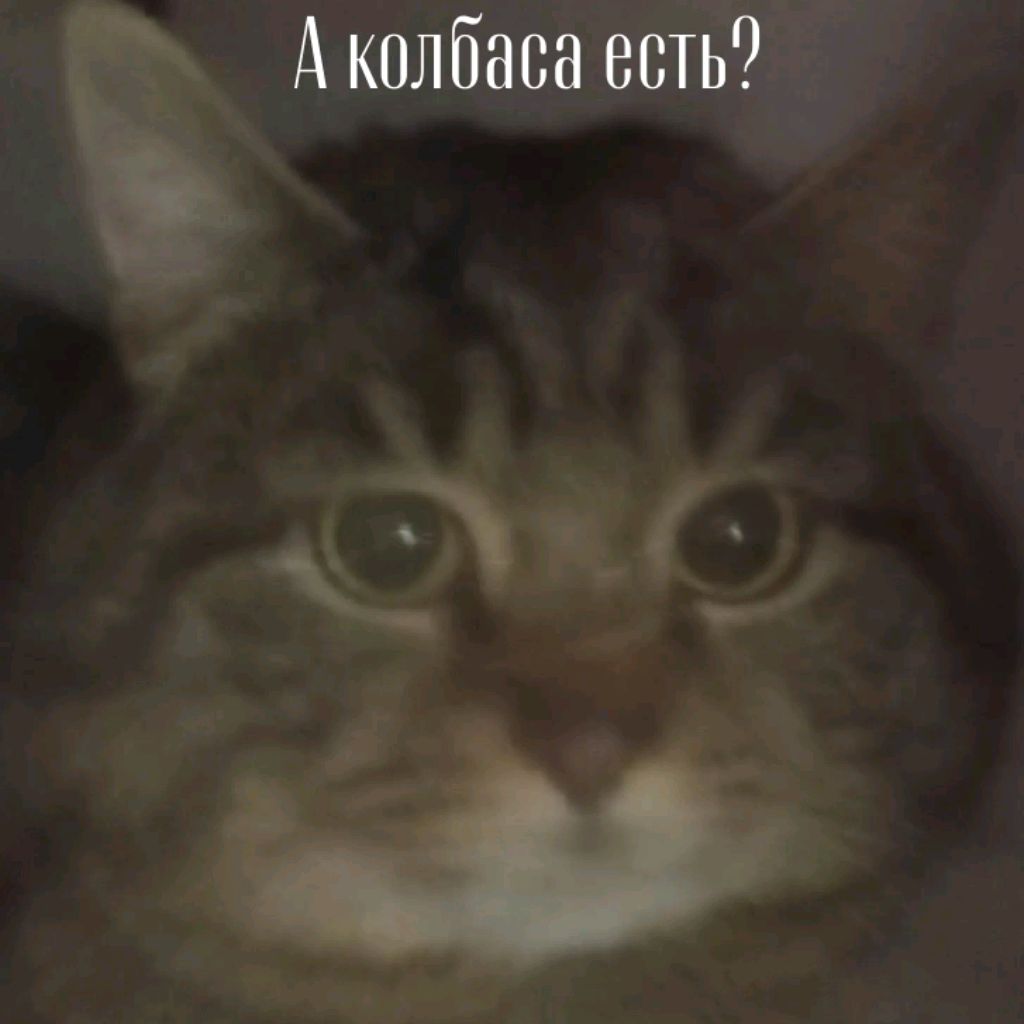 Иконка канала Кепа кепа Миша