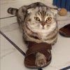 Иконка канала Данил (не Колбосенко!)