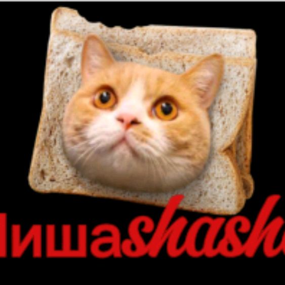 Иконка канала МишаShasha