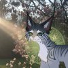 Иконка канала [🐾]★Крайми ★[🌿]