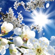 Иконка канала ☁️𐌿ρ᧐ᥴᴛ᧐Вᥱᴛᥱρ 💮