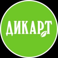Иконка канала dikart