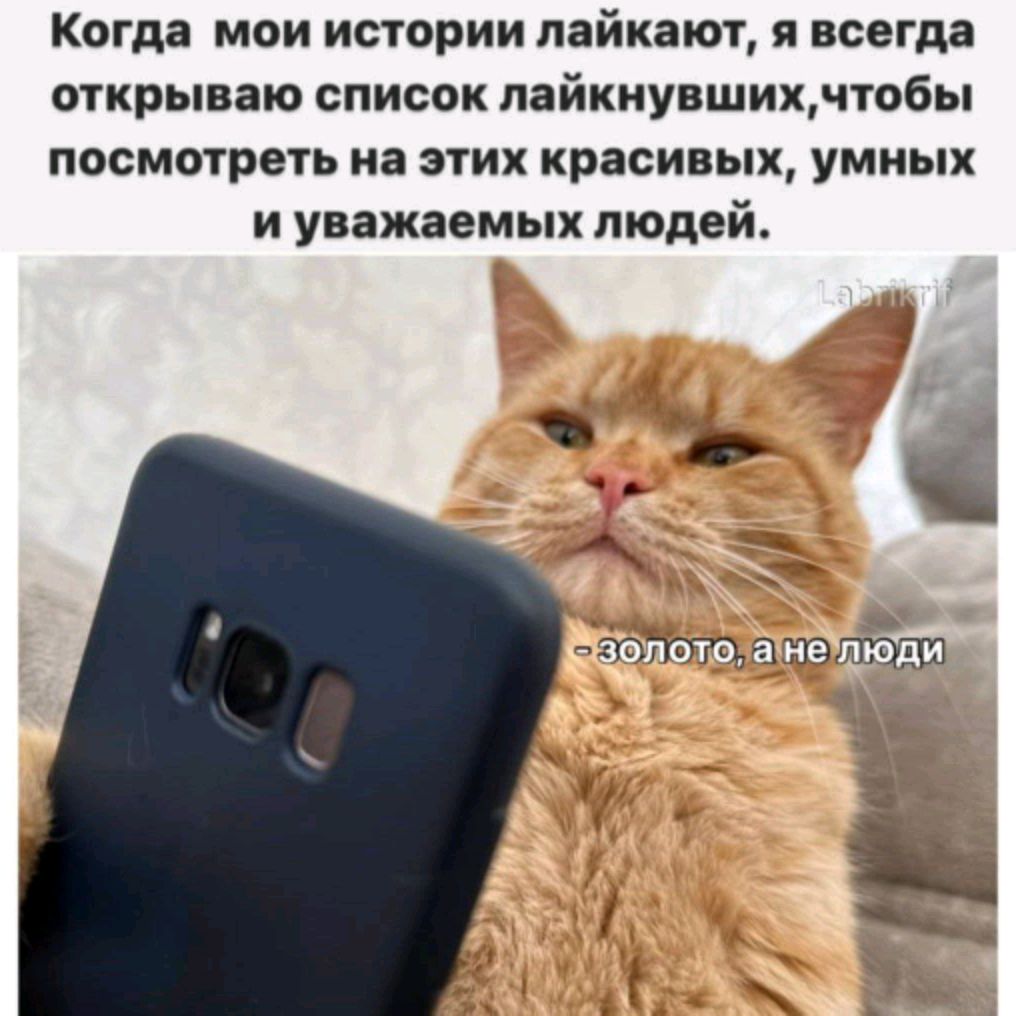 Иконка канала .