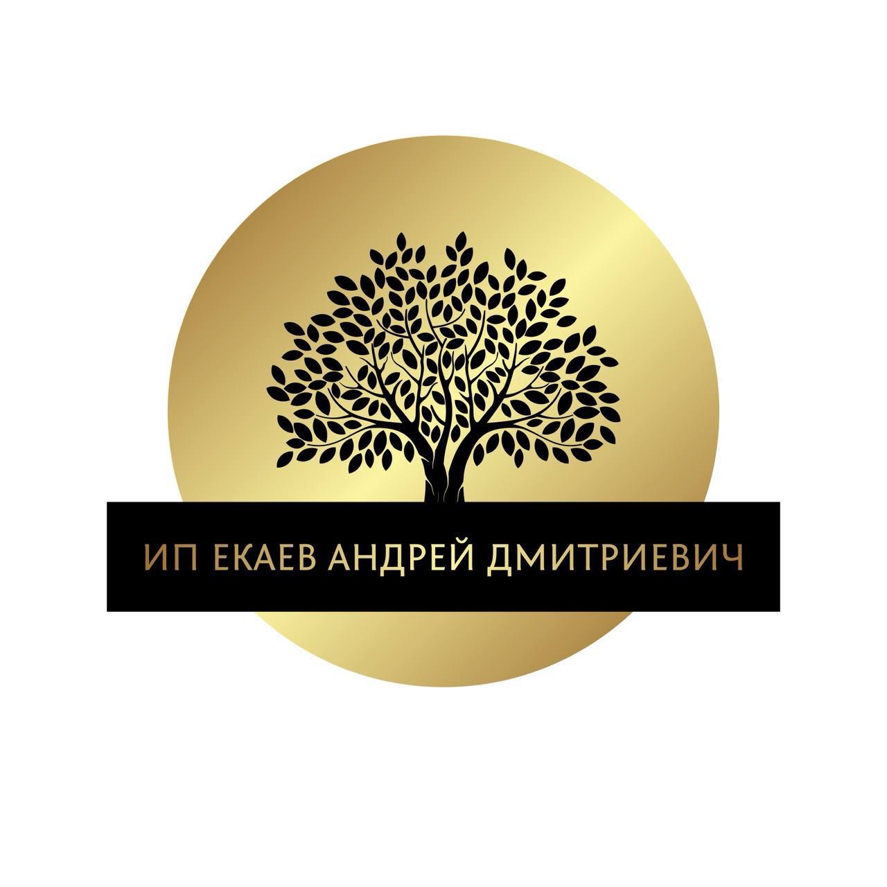 Иконка канала IP_Ekaev