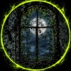 Иконка канала ЭХО ЗАБРОШЕК • Живые места