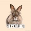 Иконка канала Nikita1000_Черемша