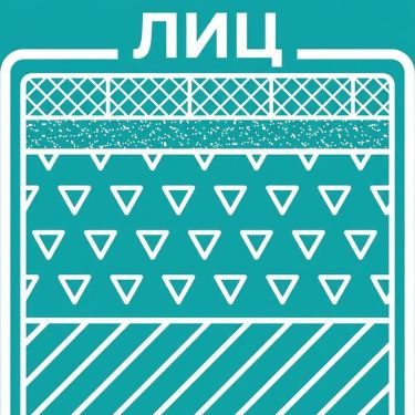 Иконка канала ЛИЦ