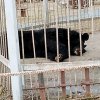 Иконка канала Рома. Играет