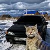 Иконка канала ZHEKA54