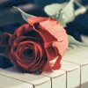 Иконка канала Любимые мелодии 🎶🎹🩷