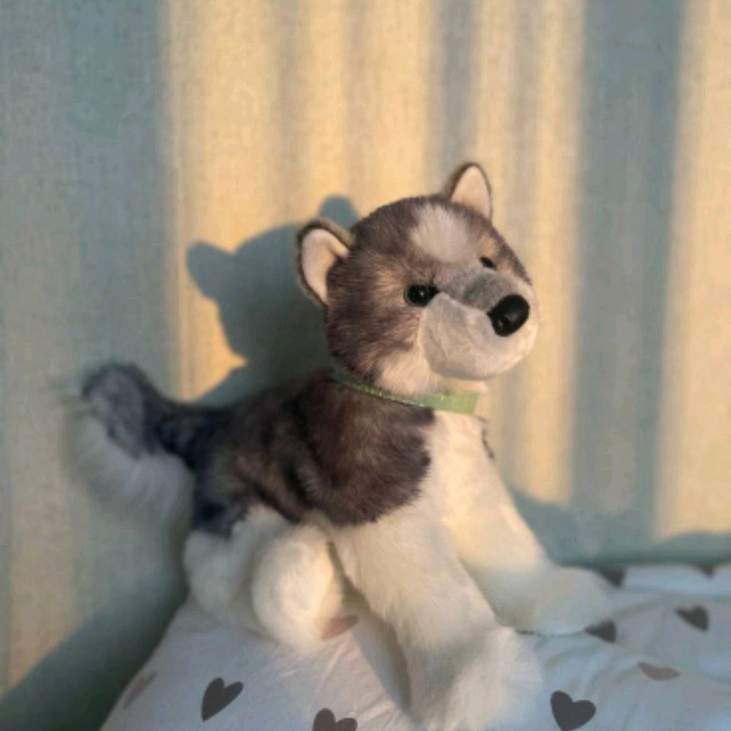 Иконка канала ⋆౨ৎ°⟡˖Лᥲᥰκᥲ κᥲρᥲʍᥱ᧘ьн᧐ᴦ᧐-ᥰдδ☾