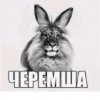 Иконка канала Kit228