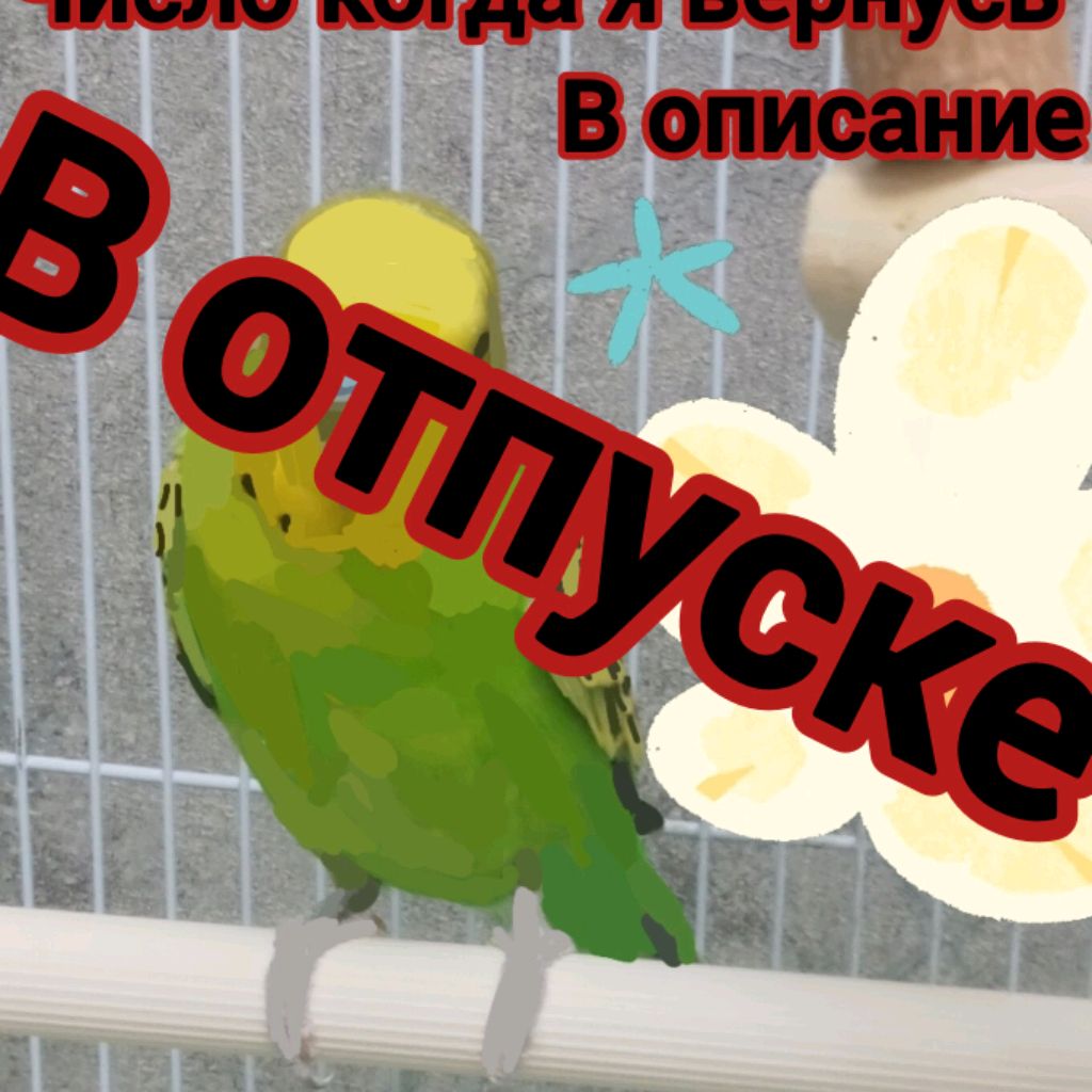 Иконка канала Кеша Play🍕(В Отпуске)