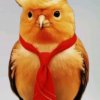 Иконка канала Птица Счастья