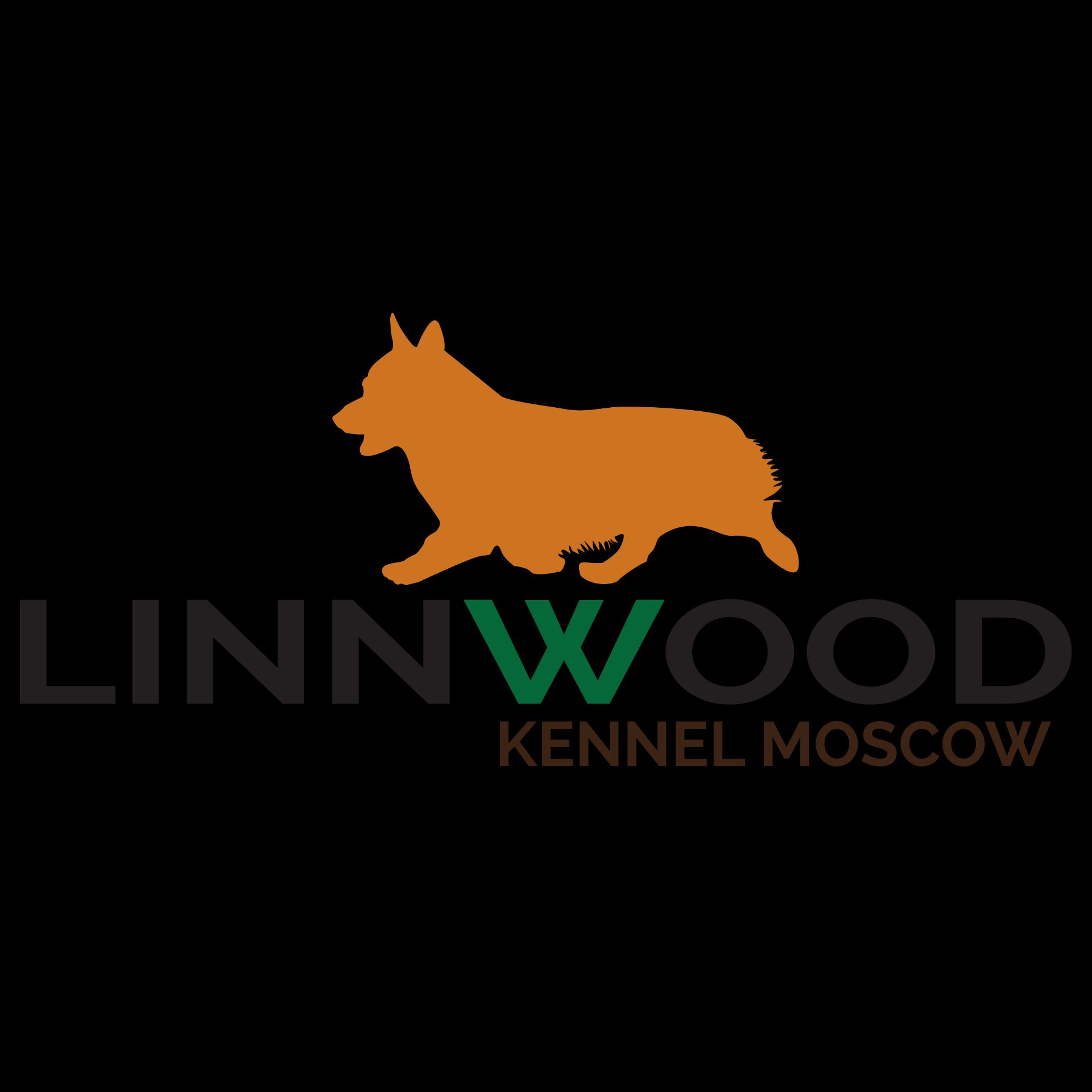 Иконка канала Linnwood