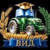 Иконка канала ВиД