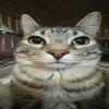 Иконка канала ДантиксPlay:)