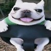 Иконка канала Ttblog