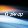 Иконка канала Эйлер