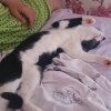 Иконка канала 😈РИАННА😈 Подпишись Пж 🥺🥺🥺 Ради Котика