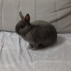 Иконка канала Обзор интересного