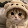 Иконка канала ꧁❃✭AmIrA❃✭꧂ 🖤🩶🤍😸
