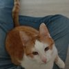 Иконка канала Andrey_s_yuga