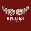 Иконка канала Студия КРЫЛЬЯ. Ангелы одеваются здесь!