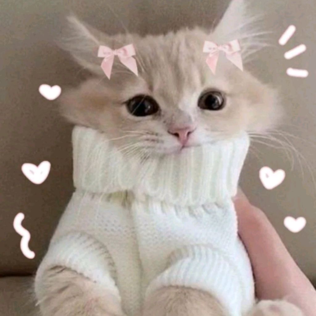 Иконка канала 𐙚🍫ᴍɪʟᴋᴀ_ᴋɪᴛᴛʏ🧋♡