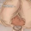 Иконка канала —༘⋆🥛Дᥱρᥱʙ᧐-Нᥙκ᧐᧘ь🥥