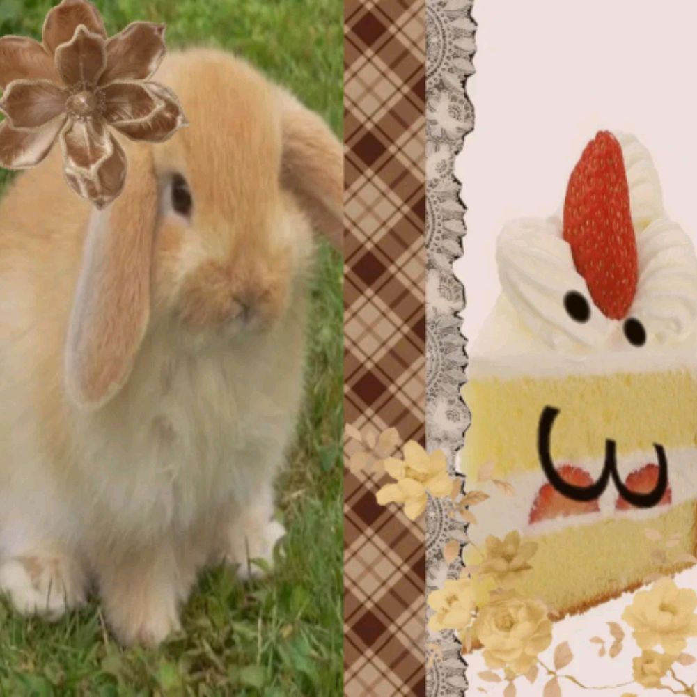 Иконка канала Черешня🥕