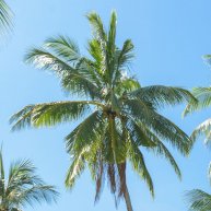 Иконка канала Звуки природы - Relax Island