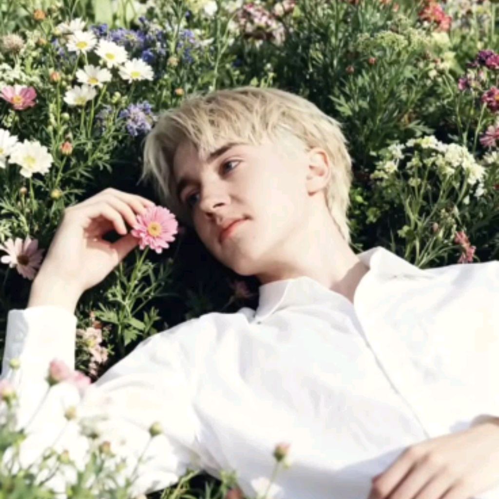 Иконка канала Drakosh'ka_rbx🌷 ▕⃝⃤