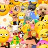 Иконка канала Игрушки 🧸