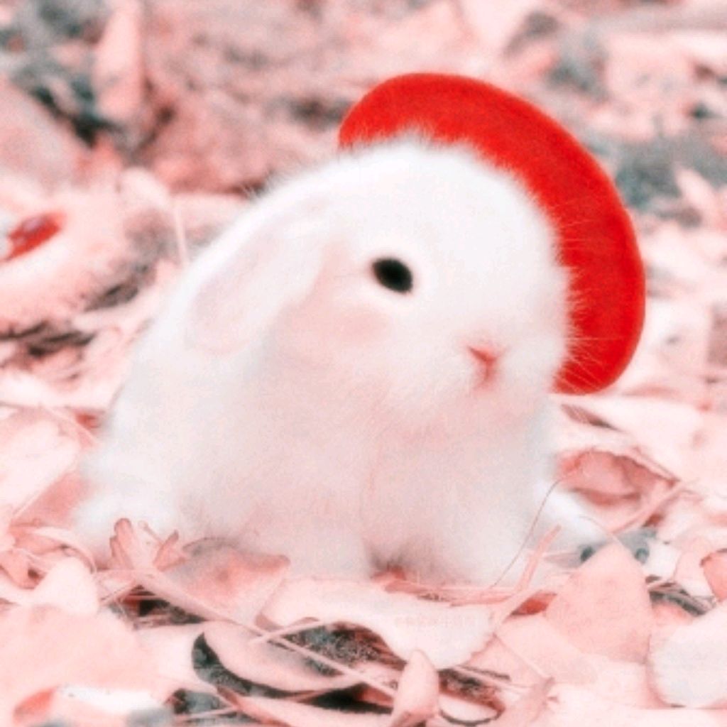 Иконка канала Черешня🥕