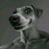 Иконка канала Danya_24k