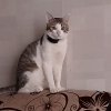 Иконка канала Что Писать?