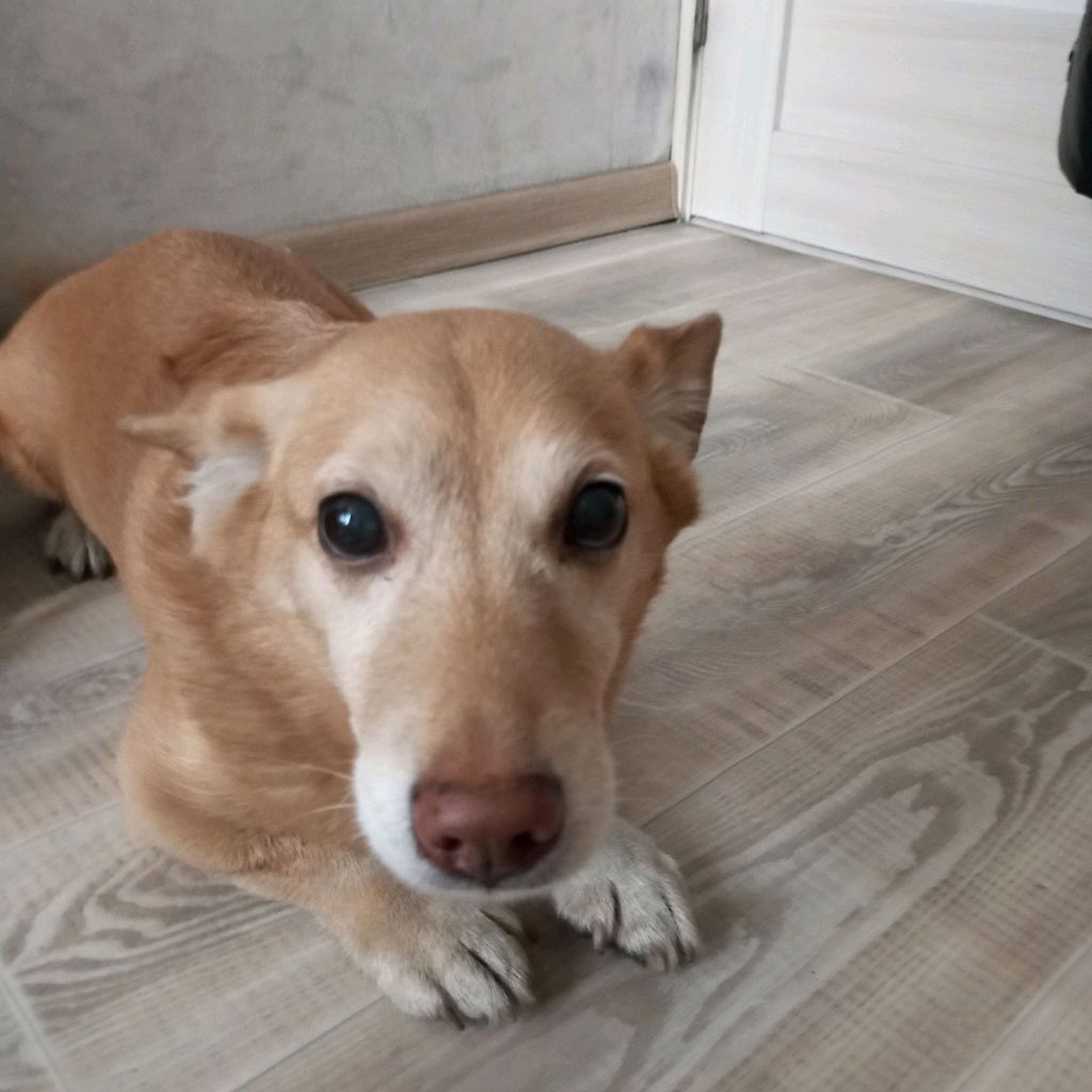 Иконка канала спорт это сило