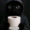 Иконка канала 𓃠😸Котик Бесси😸𓃠