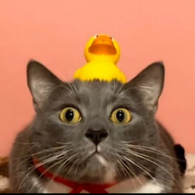 Иконка канала huggywuggynet and all Лотков
