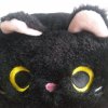 Иконка канала Жизнь Котика