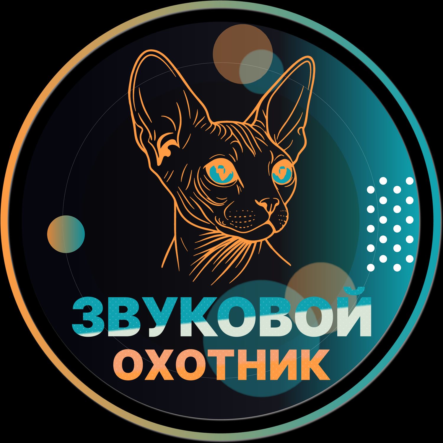 Иконка канала Звуковой Охотник — медиаплощадка и лейбл