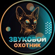 Иконка канала Звуковой Охотник — медиаплощадка и лейбл