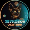 Иконка канала Звуковой Охотник — медиаплощадка и лейбл