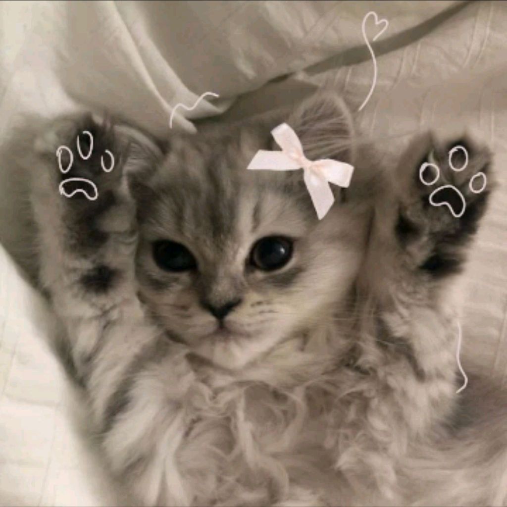 Иконка канала 8312@!!! 😺