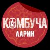 Иконка канала КОМБУЧА | ЛАРИН