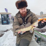 Иконка канала Killer Fish 001